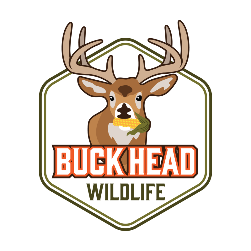 Buck Head Wildlife High Oil Seed Corn | Partners Brand Seed